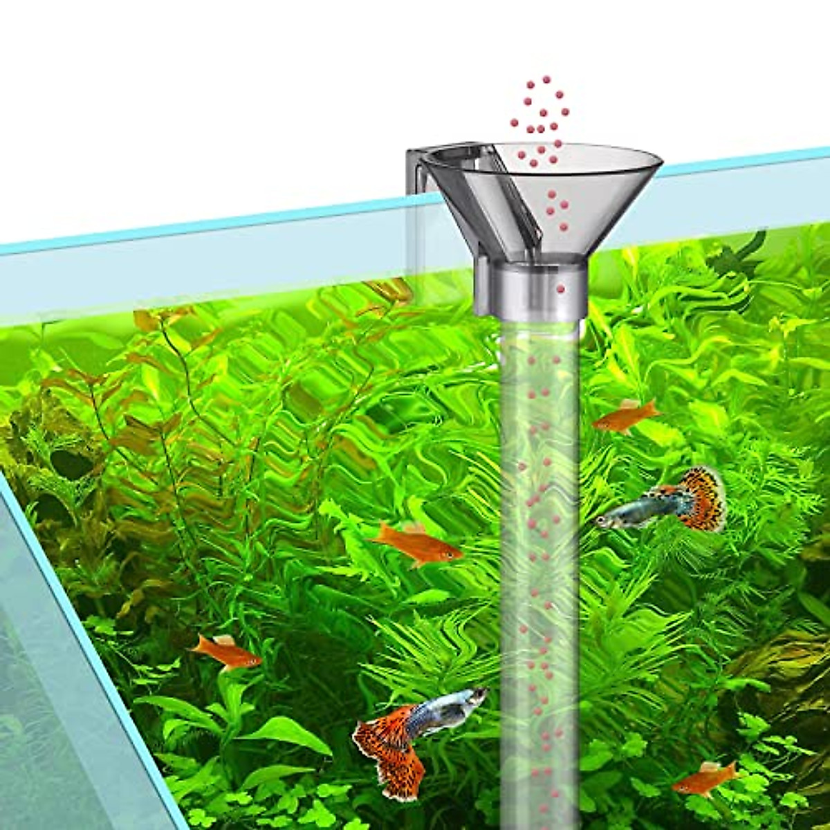 UPETTOOLS Shrimp Feeding Dish Set, Aquarium Fish Feeder Tube Kit with Feeding Ring,Cleaning Brush for Fish Tank