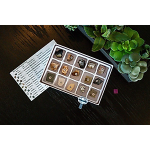 STEM Toy Rock Science Kit Geology Mineral Specimen For Kid Geologists