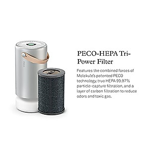 Molekule Air Pro | Air Purifier for Large Rooms up to 1000 sq. ft. w/PECO-HEPA Tri-Power Technology, for Allergens, Smoke, Mold, Bacteria, Viruses & Pollutants for Clean Air - Silver, Alexa-Compatible