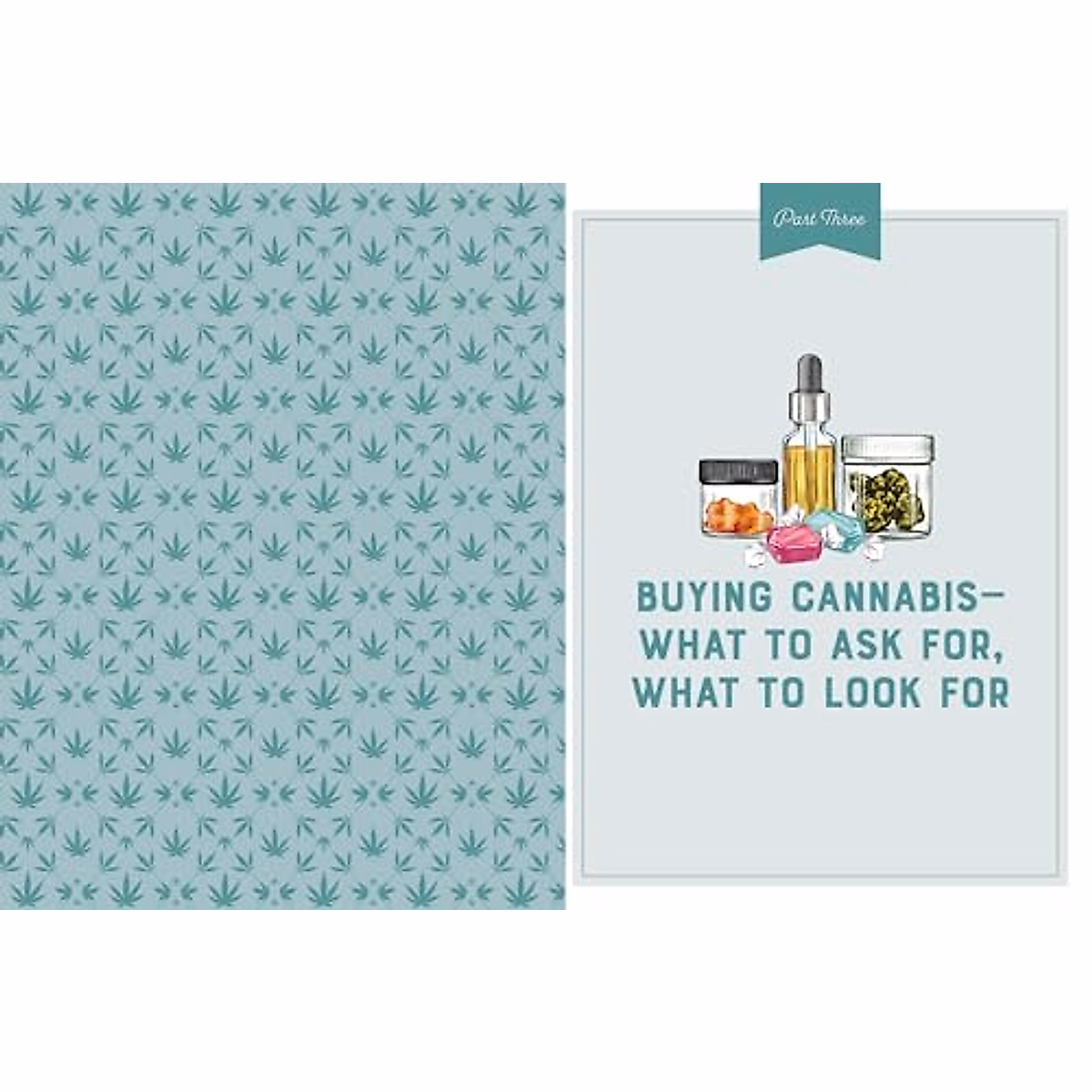 A Woman's Guide to Cannabis: Using Marijuana to Feel Better, Look Better, Sleep Better–and Get High Like a Lady