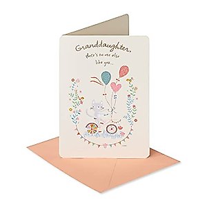 American Greetings Birthday Card for Granddaughter (No One Else Like You)