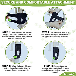 CATUPUNIS 2PCS Dog Braces for Back Leg for Support. Dog Arthritis Brace. Hind Leg Support for Dogs. Leg Brace for Dogs Back Leg. Dog Leg Brace. Dog Back Leg Support Brace. Dog Hock Brace Rear Leg (L)