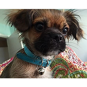 Turquoise Blue Leather Pet Collars for Cats Puppy, Adjustable 8"-10.5" Kitten Collar with Bell