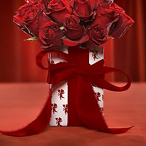 Red Velvet Ribbon, Chiffon Silk Ribbon Fringe Velvet Ribbon Christmas Velvet Ribbon Frayed Edges Ribbon Red Ribbons for Gift Wrapping Wedding Invitations Bridal Bouquets DIY Crafts (2.5in x 3 Yards)