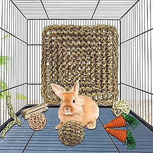 Tfwadmx Rabbit Activity Mat Bunny Chew Toy for Teeth Grinding Small Animal Seagrass Activity Zone Seagrass Mat Play Ball Carrot Toys for Hamster,Chinchilla,Guinea Pig or Other Rodent Pets