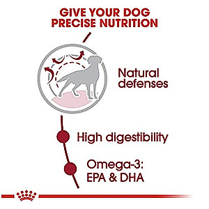 Royal Canin Medium Breed Adult Dry Dog Food, 30 lb bag