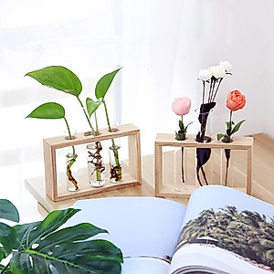 20pcs Clear Plastic Test Tubes With Cork Stoppers, Plastic Test Tubes With Lids Clear, 12 * 75mm Test Tubes With Lids Plastic, For Diy Craft, Candy Spice Seed Liquid Storage, Laboratory Use Decoration