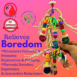 Bonka Bird Toys 1845 Pluck My Rings Colorful Natural Foraging Chew Wood Preen Sisal Vine Parrot Amazon African Grey Conure Rosetta Cockatiel Parakeet