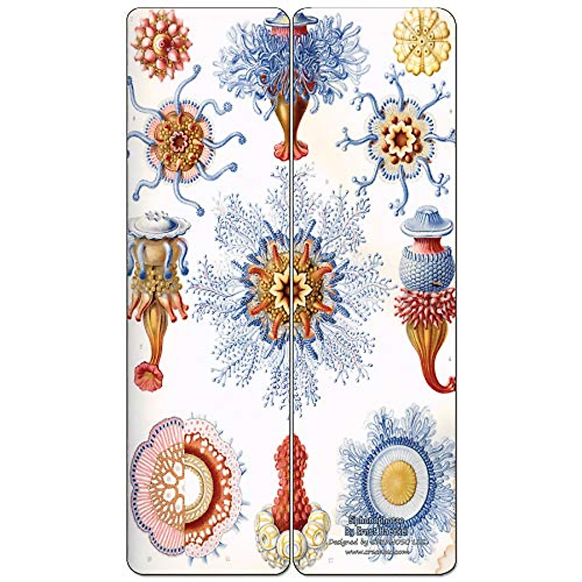 Creanoso Ernst Haeckel Bookmarks Series 2 (60-Pack) - Premium Quality Gift Ideas for Children, Teens, & Adults for All Occasions - Stocking Stuffers Party Favor & Giveaways