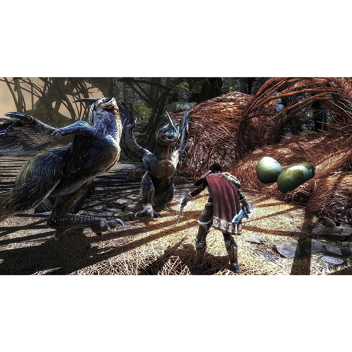 Kingdom of Amalur Reckonging Remastered PS4