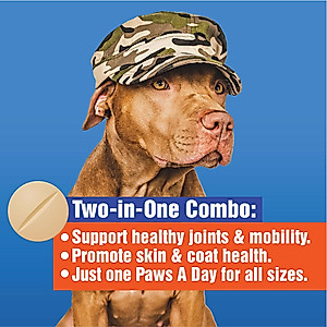 Paws A Day Glucosamine for Dogs Hip & Joint Supplement – “Two-in-One Combo” Dog Joint Care and Improved Skin & Coat with Chondroitin, MSM, Omega 3, Collagen & Biotin, 60 Chewable Tablets