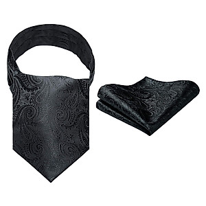 HISDERN Cravat Ties for Men with Pocket Square Casual Paisley Ascot Self Tie Scarf Handkerchief Set for Business Prom