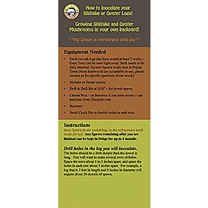 Spawn and Wax Combo - Shiitake Mushrooms Mushroom Mycelium Plug Spawn - 100 Count Plugs - 3oz Wax Grow Edible Gourmet & Medicinal Shitake Fungi On Trees & Logs