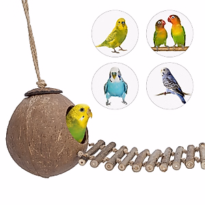 Niteangel Natural Coconut Hamster Hideaway with Ladder, Bird and Small Animal Toy (House with Ladder, Smooth Surface)