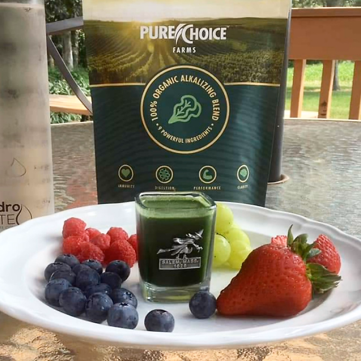 Pure Choice Whey Organic Greens Superfood Powder, USA Grown - Kale, Alfalfa Grass, Wheatgrass, Barley Grass, Astragalus, Spirulina, Oat Grass & Chlorella, USA Grown (10.6 oz, 1 Month Supply)