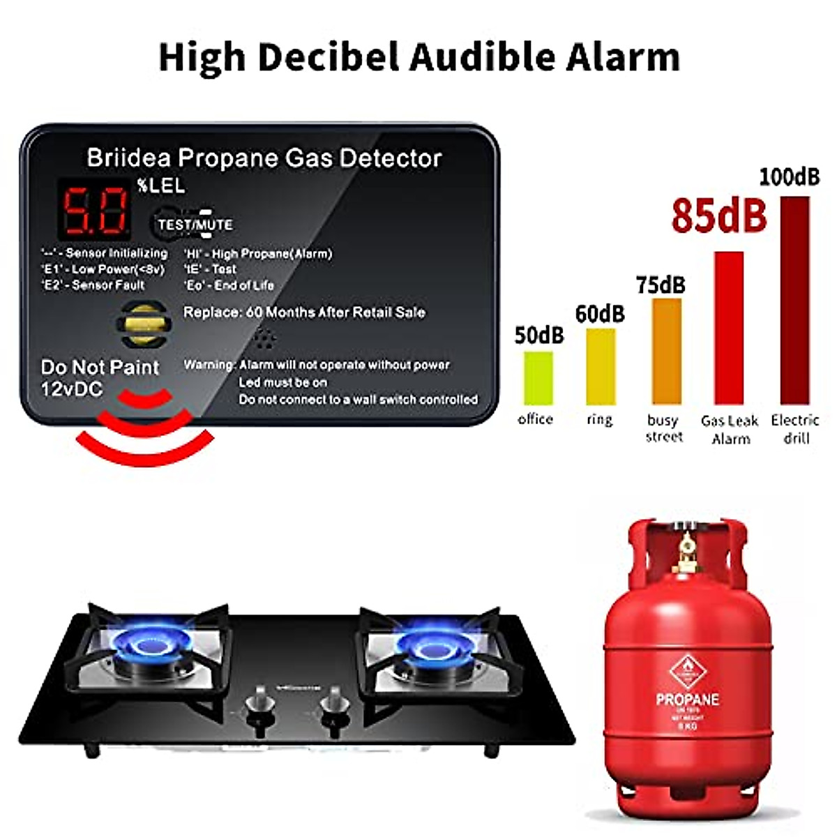 RV Propane Alarm, Briidea Propane Gas Detector with 85dB Loud Alarm, 12 VDC, Black