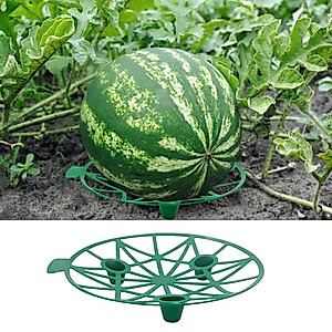 MingQiEven 6 Pack Melon Cradle Garden Plant Plastic Support for Protecting Watermelon, Pumpkin, Cantaloupe