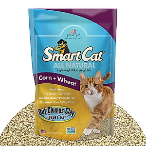 SmartCat All Natural Clumping Corn + Wheat Cat Litter, 20 Pound (320oz - 1 Pack) - Unscented and Clay Free