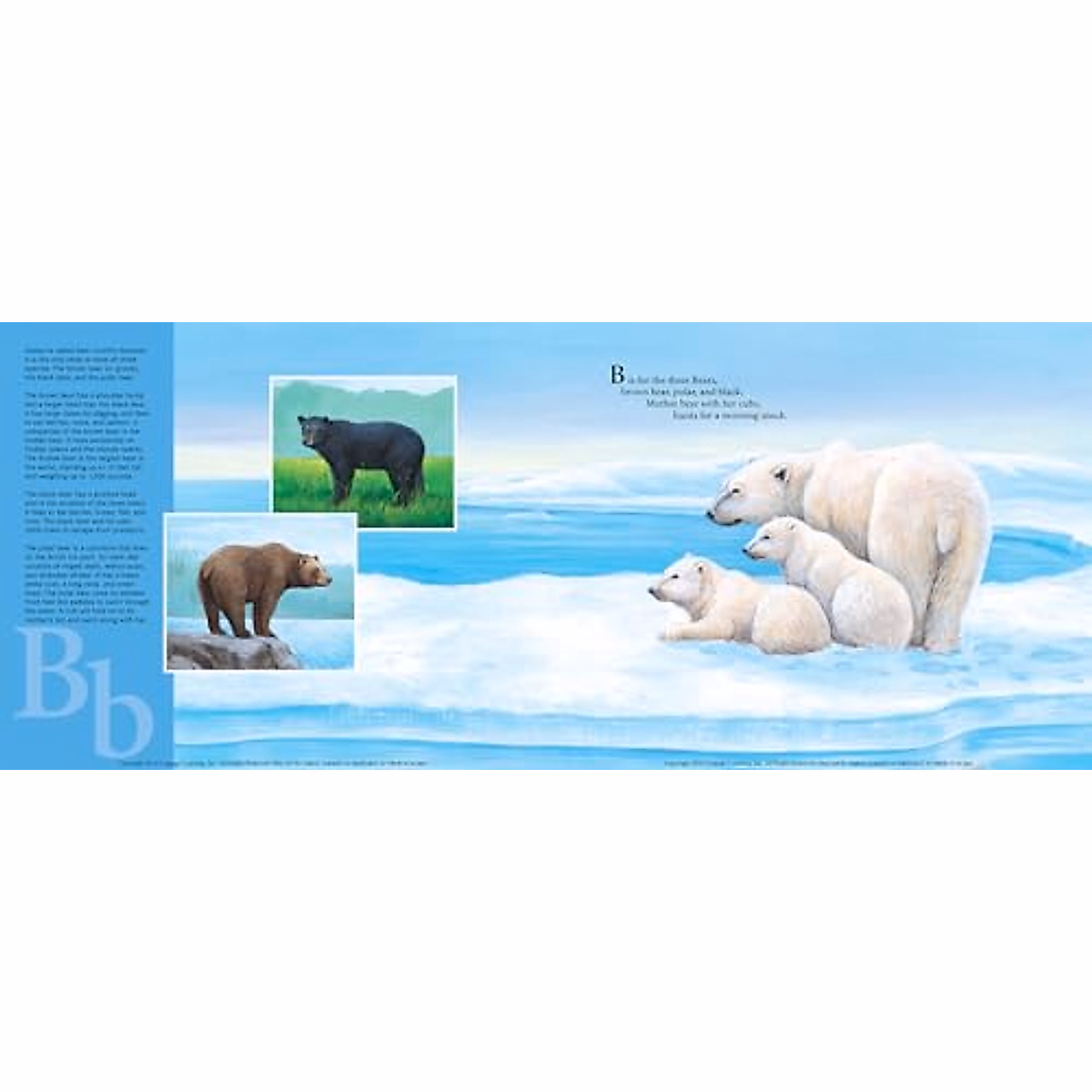 L Is for Last Frontier: An Alaska Alphabet (Discover America State by State)