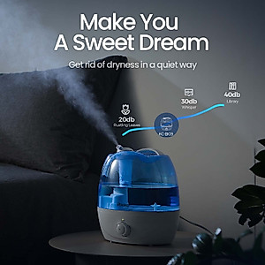Rbioko 2.6L Cool Mist Humidifiers for Bedroom Whisper Quiet, Ultrasonic Vaporizer for Baby & Nursery, Indoor Plants & Whole House -Adjustable 360 Rotation Nozzle, Easy to Clean, Auto-Shut Off