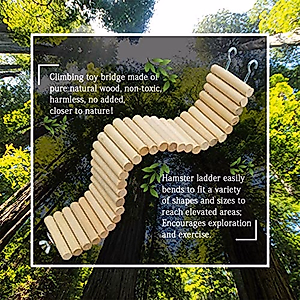 Hamster Bridge Suspension Ladder Rat Rainbow Long Bridge Wooden Climbing Ladder Bridge Chew Toys for Dwarf Syrian Hamster Mice Mouse Gerbils(2 PCS)