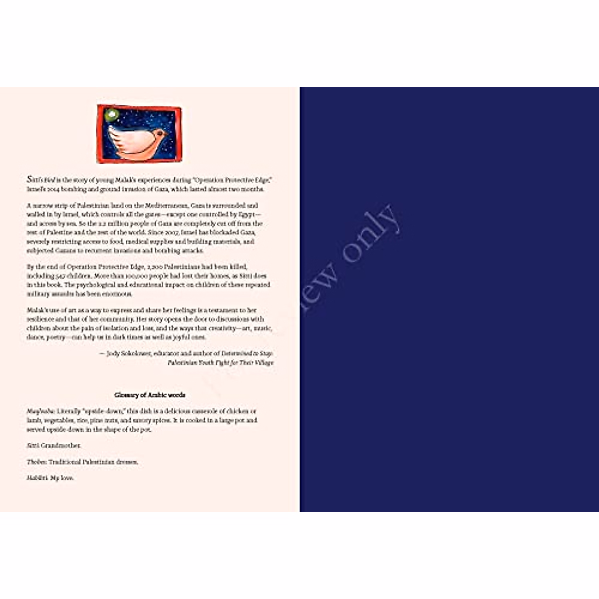 Sitti's Bird: A Gaza Story