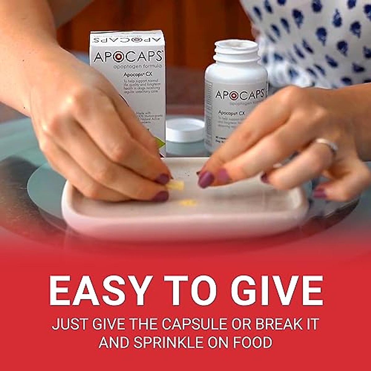 Apocaps CX Apoptogen for Dogs (Pack of 2 Boxes)- 90 Count Each