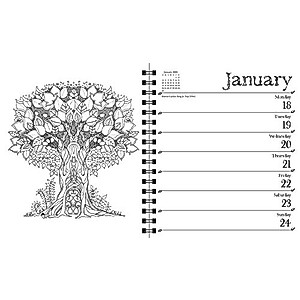 Johanna Basford 2021 Weekly Coloring Planner Calendar
