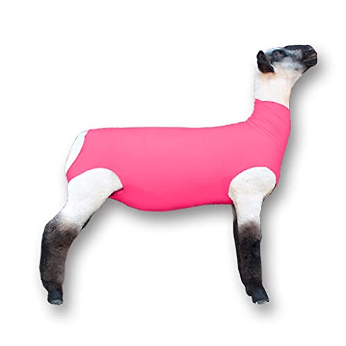 Show Pro Pink Spandex Lamb Tube for Show Sheep & Lamb - Show Livestock Supplies: Sheep Covers & Blankets (Medium)