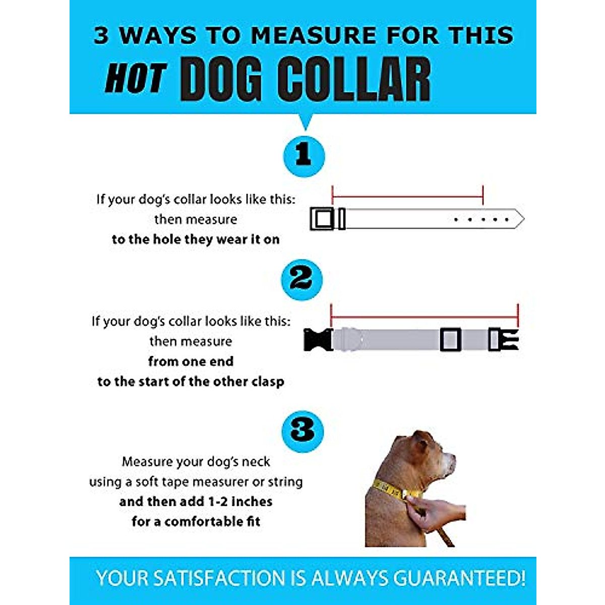 Personalized Dog Collar with Custom Hi-Def Text and Art, an Embroidered Dog Collar Alternative - Available in 7 Sizes & 21 Colors