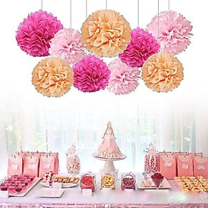 Pink Paper Pom Poms,10",12" Tissue Pom Poms for Bachelorette Baby Shower Girl Party Hanging Decorations - 12 PCS