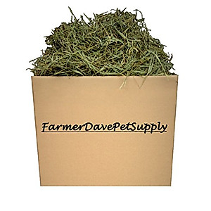 15 Lb Second Cut Timothy Hay, Bunny, Guinea Pig and Chinchilla Hay