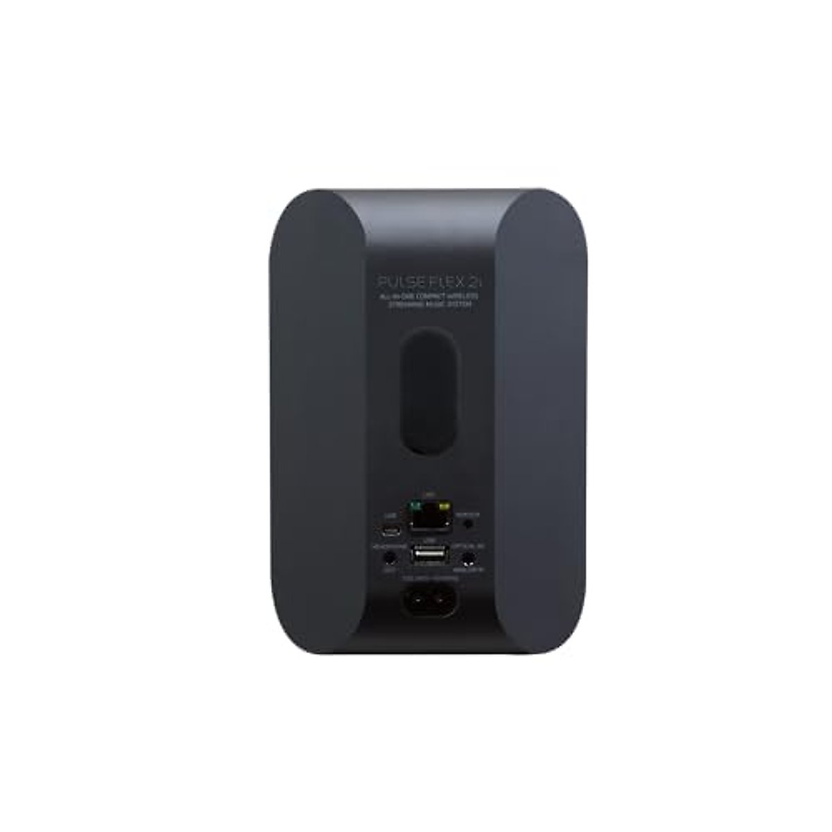 Bluesound Pulse Flex 2i Portable Wireless Multi-Room Smart Speaker with Bluetooth - Black - Compatible with Alexa and Siri