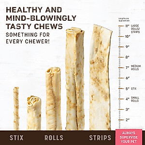 Earth Animal No Hide Small Long Lasting Dog Chew Rolls, Salmon, 2 Count Pack of 1