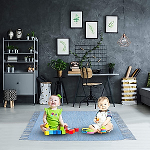 Asraie Boho Eco Friendly Hand Woven & Reversible Cotton Ribbed Rag Rug 100% Recycled Cotton Area Rug for Living Room Kitchen Entryway 2x3' (Sky Blue)