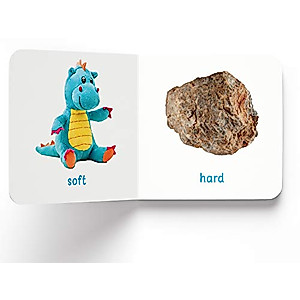 My First Complete Learning Library: Boxset of 20 Board Books Gift Set for Kids (Horizontal Design)