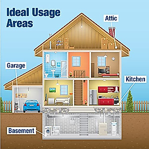 Enoz No Zone Roach Away Boric Acid Powder, Kills Cockroaches, Silverfish, and Ants (Pack of 6)
