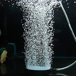 Alipis Pump Aquarium Fish Tank Aquarium Decorations Disc for Stones for Hydroponics Pond Stones Hydroponics Airstone Diffuser Sponge Bubble Stone