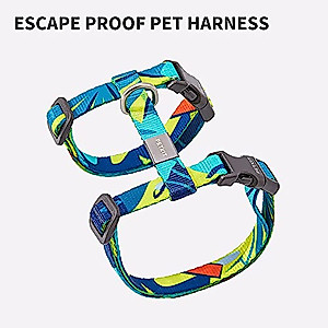 PETKIT Lightweight Cat/Small Animals Harness and Leash Set for Walking, Escape Proof, Soft, Adjustable Pet Harness for Kitten, Puppies, Rabbits