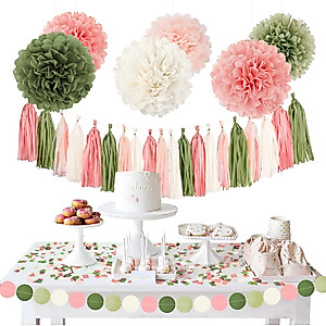 NICROHOME Wedding Party Decorations, 28 PCS Sage Green Tissue Paper Pom Poms,Circle Dots Garland Paper Tassels Hanging Backdrop for Boho Neutral Baby Shower, Bridal Shower, Engagement Party Supplies