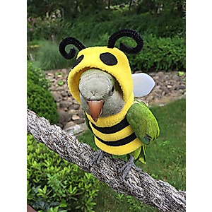 Parrot bird supplies, light flying clothes, warm and comfortable, tiger skin, green cheek parrot, little sun parrot, monk parrot, starling, mynah, Senegal parrot, mini macaw, Keck parrot, etc. (2M)