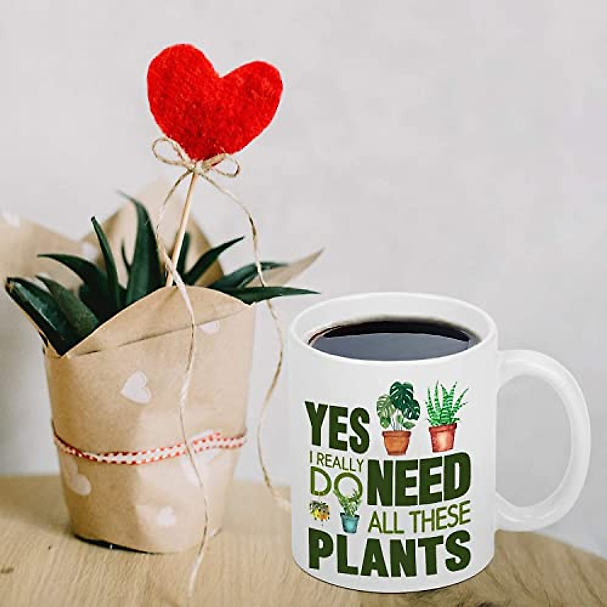 Babimarkeebei Funny Standard Plants Lover Gifts for Women Mom Plant Gifts Plant Addict Coffee Mug for Crazy Plant Lady Men Plant Themed Gift for Christmas Birthday All I Need is Plants Cup Spoon