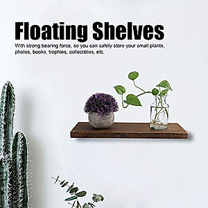 AMONIDA Floating Shelves, Brown Paulownia Wall Mounted Floating Wall Shelves, Rustic Wood Wall Shelves, Storage Shelves for Bedroom, Living Room, Bathroom, Kitchen, Office and More(11.8x5.5x0.8in)