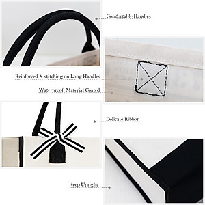 Crisky 60th Birthday Gifts for Women Canvas Tote Beach Bag 60 & Fabulous with Ribbon for Wife/Sister/Mom/Aunt/Friends,17" x 12" x 7"