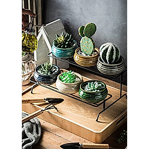 Succulent Plant Pots Stand 6pcs Indoor Plants Live 2 Tier Decorative Ceramic Small Plant Pots with Stand Holder Mini Flower Pots Gifts for Plant Lovers Home Office Desk Garden Mini Cactus Pot