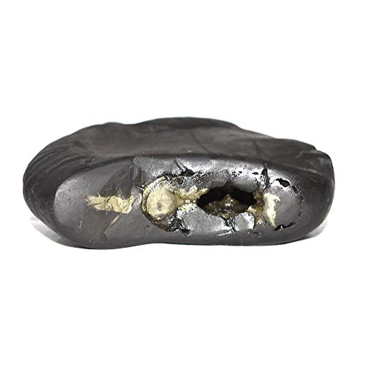 Rudrakshguru Krishna Shaligram/Madana Gopala Salagram - Gandaki River Nepal