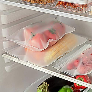 Quart Freezer Bags Reusable Food Storage Bags for Vegetable, Liquid, Snack, Meat, Sandwich, 8.46x7.28 Inch, 10 Pack