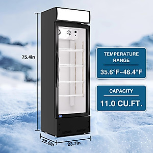 okeyolive 11 Cu Ft Commercial Merchandiser Refrigerator, Glass Door Upright Display Fridge with LED Lighting, Large Freestanding Beverage Cooler