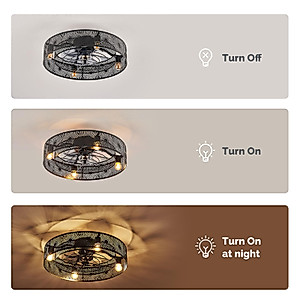 Orison 20 Inch Caged Ceiling Fan with Light, Black, 6 Speeds, Timer, Reversible Motor, Industrial Low Profile Ceiling Fan for Living Room, Bedroom, Kitchen