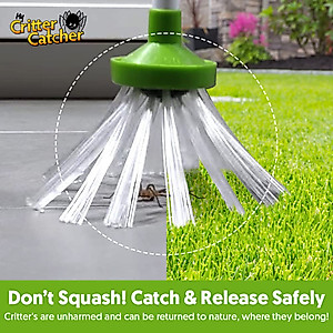 My Critter Catcher - Spider and Insect Catcher
